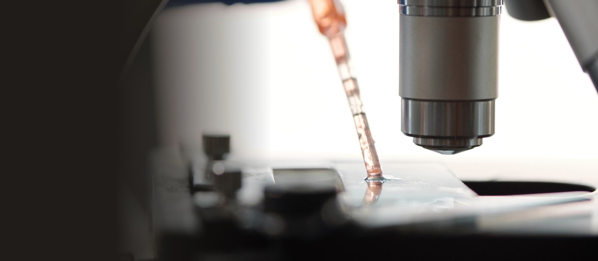 Public Equity - Great Point Partners